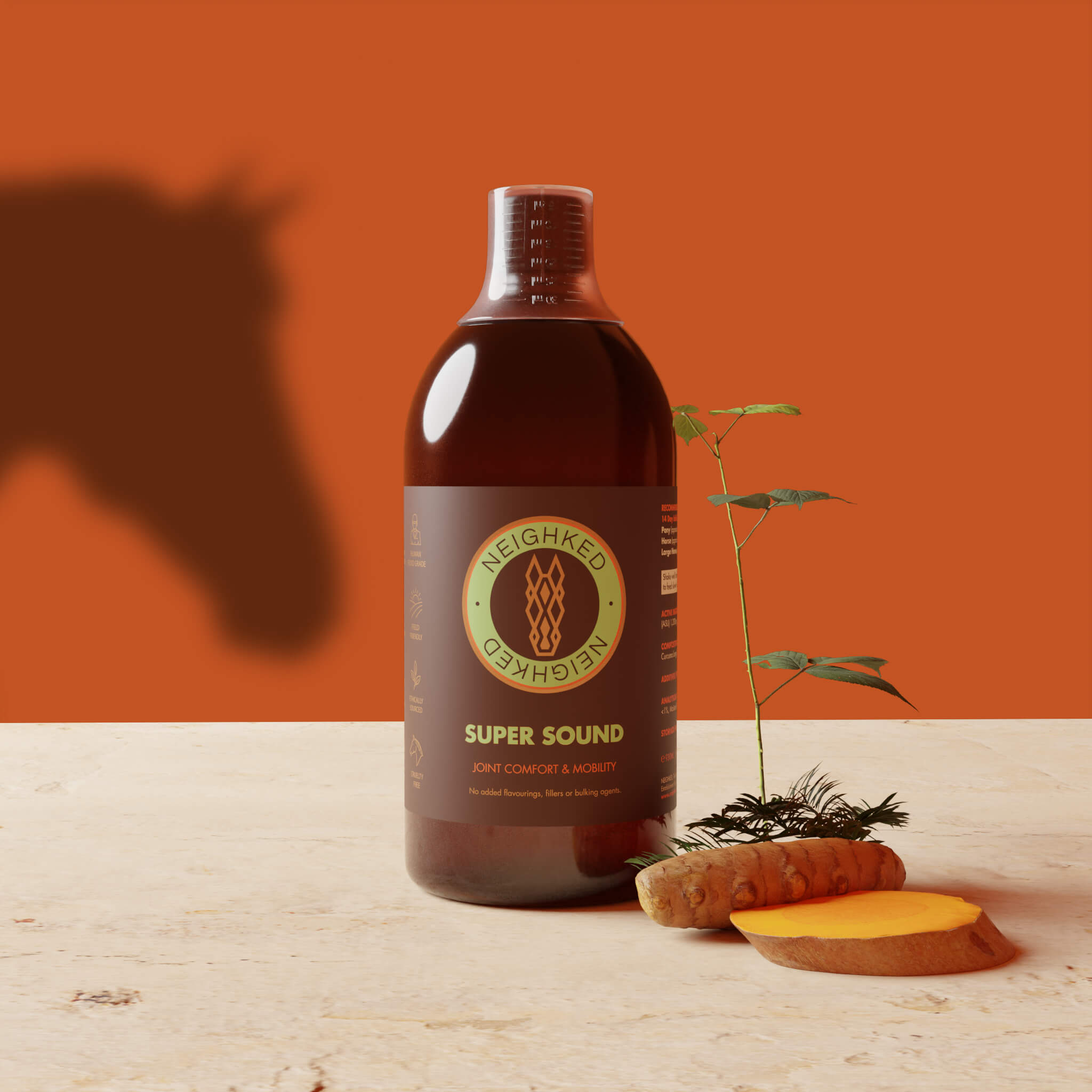 Early Signs of Equine Arthritis: A Horse Owner’s Guide – NEIGHKED