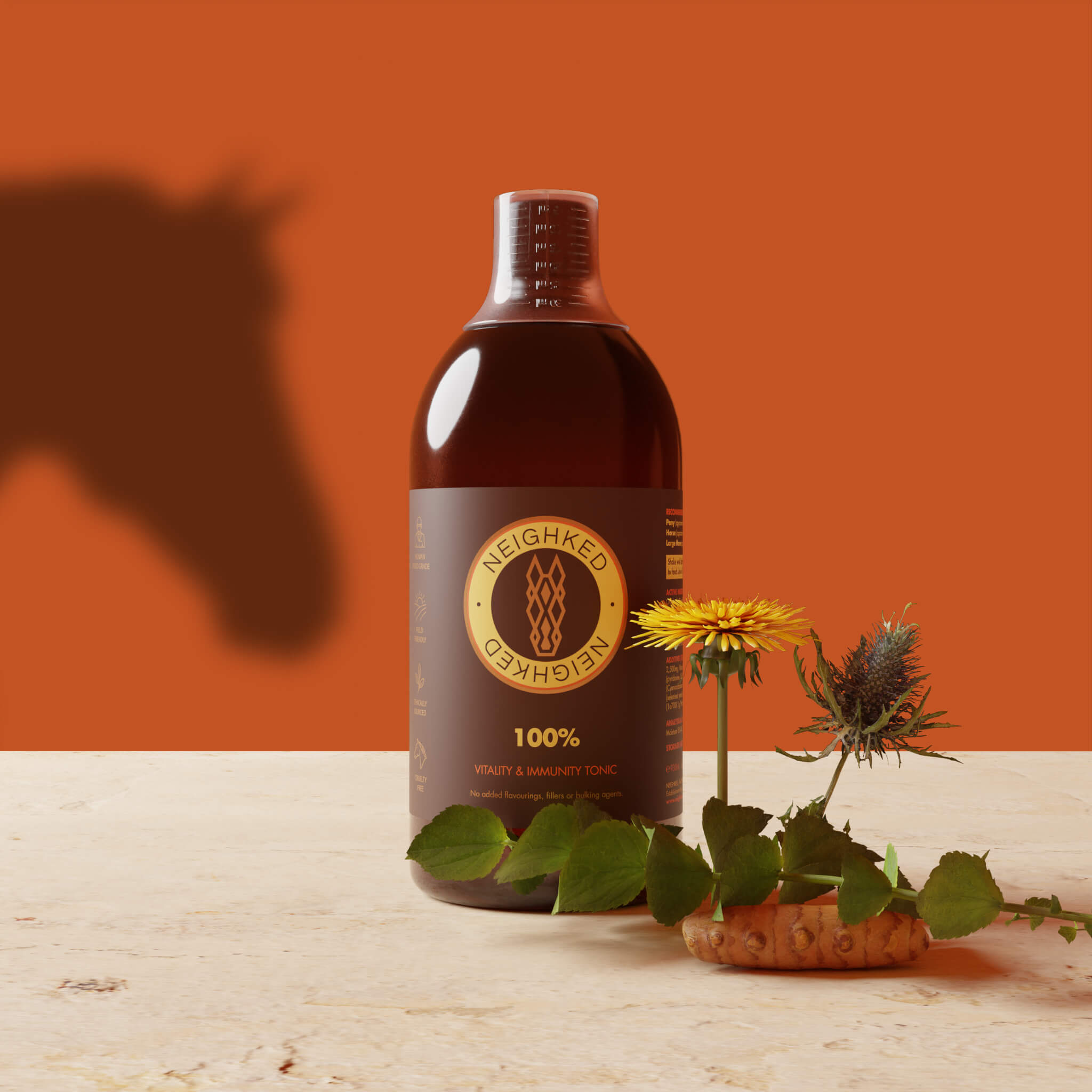 7 Common Signs Your Horse’s Immune System Needs Support – NEIGHKED
